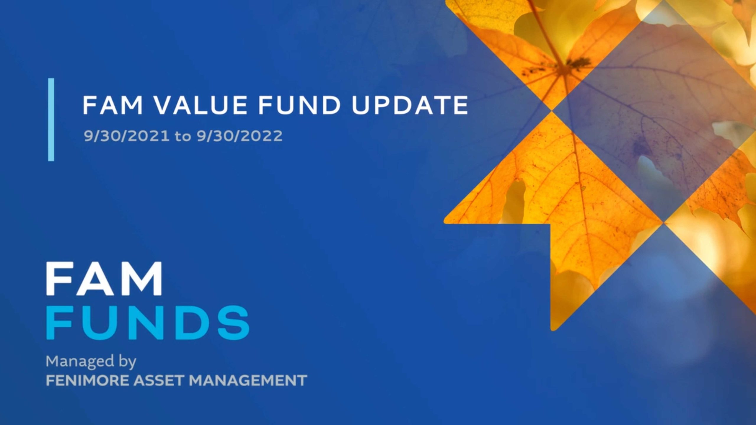 Videos & Podcasts - Fenimore Asset Management